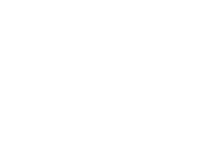 Loyalist City Towing - ICS Creative Agency